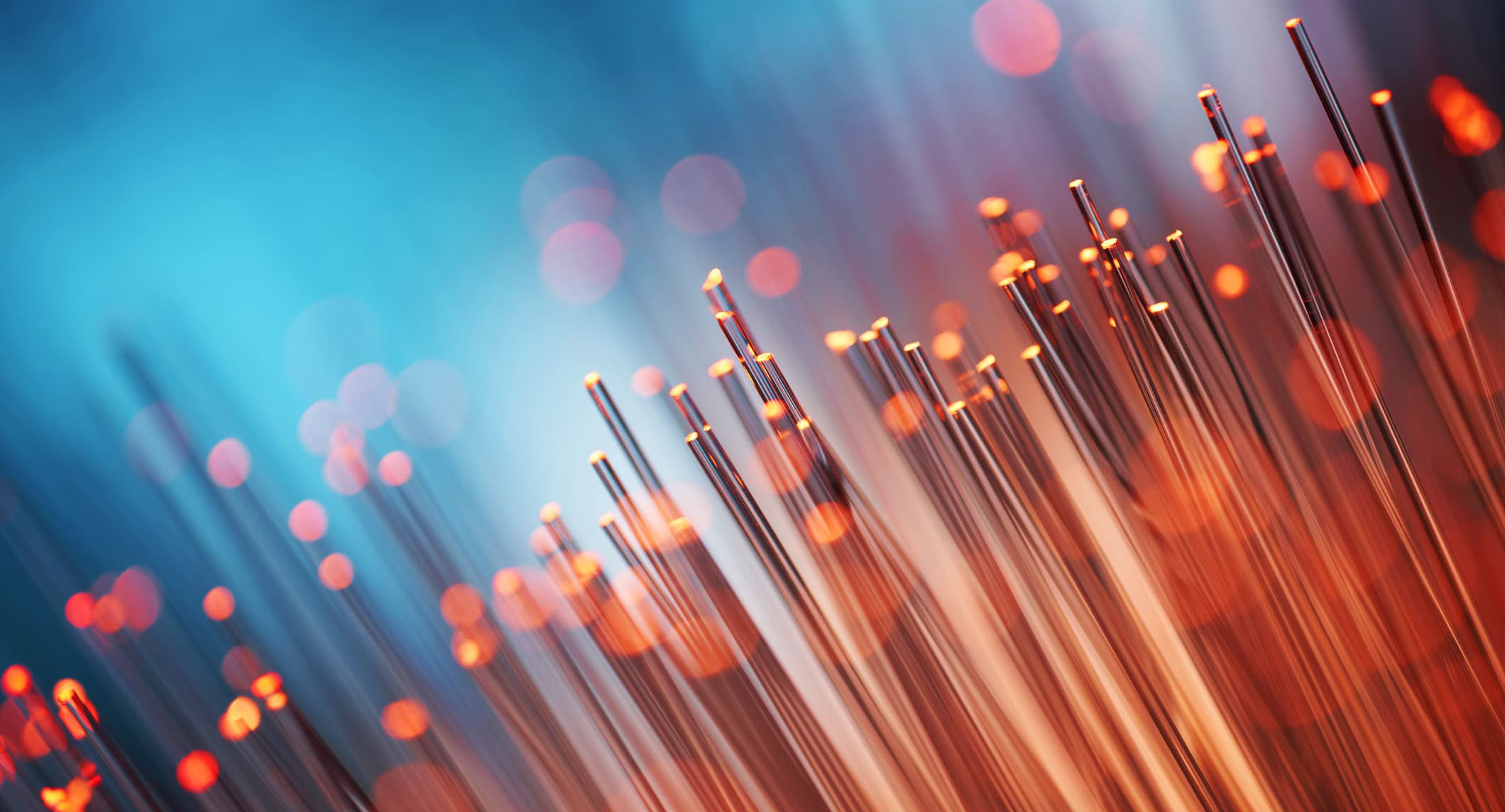 Key Takeaways from Vendor Oversight of Data Management Panel ...