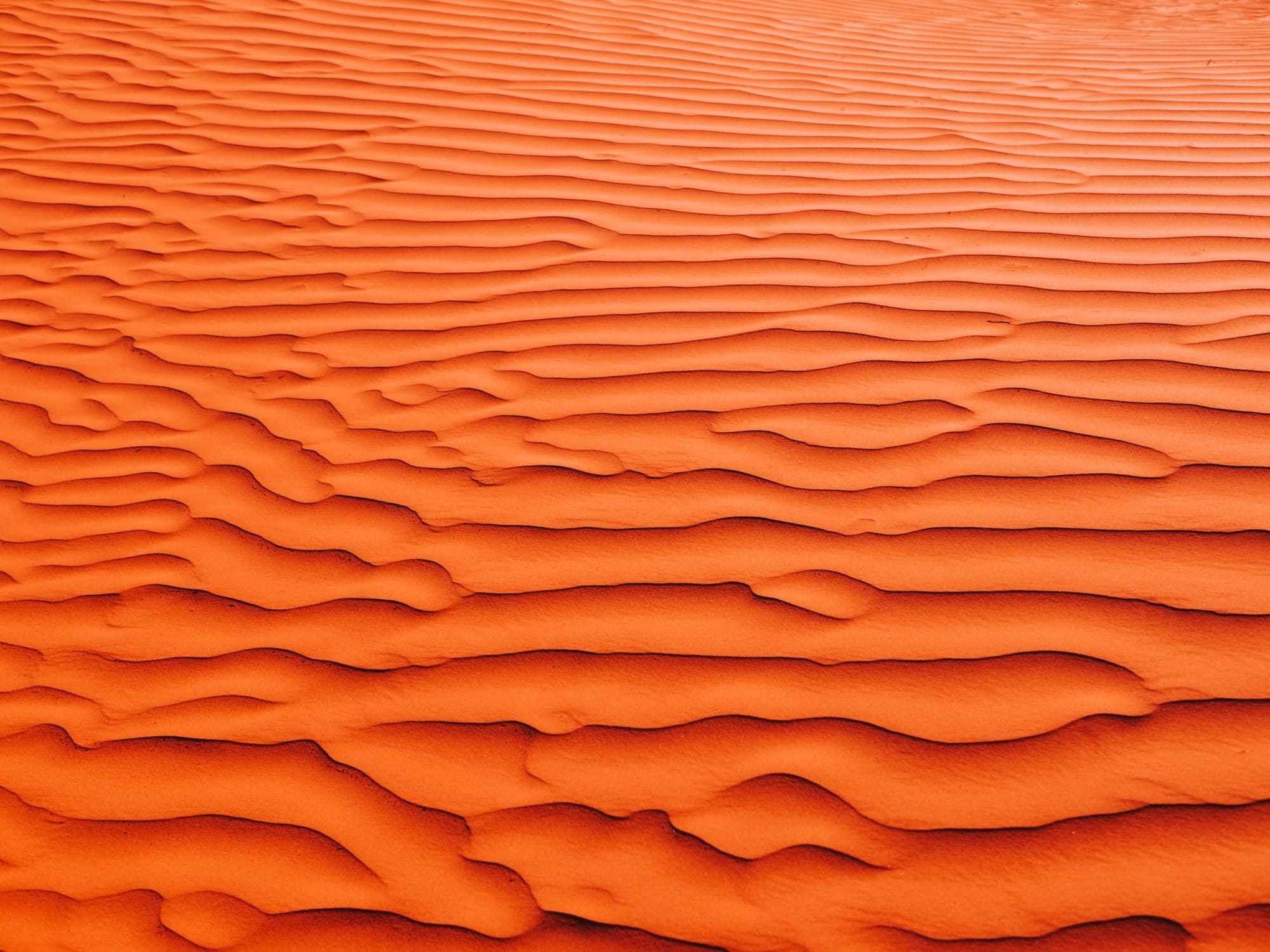 Biostatistics & Statistical Programming Services - eClinical Solutions